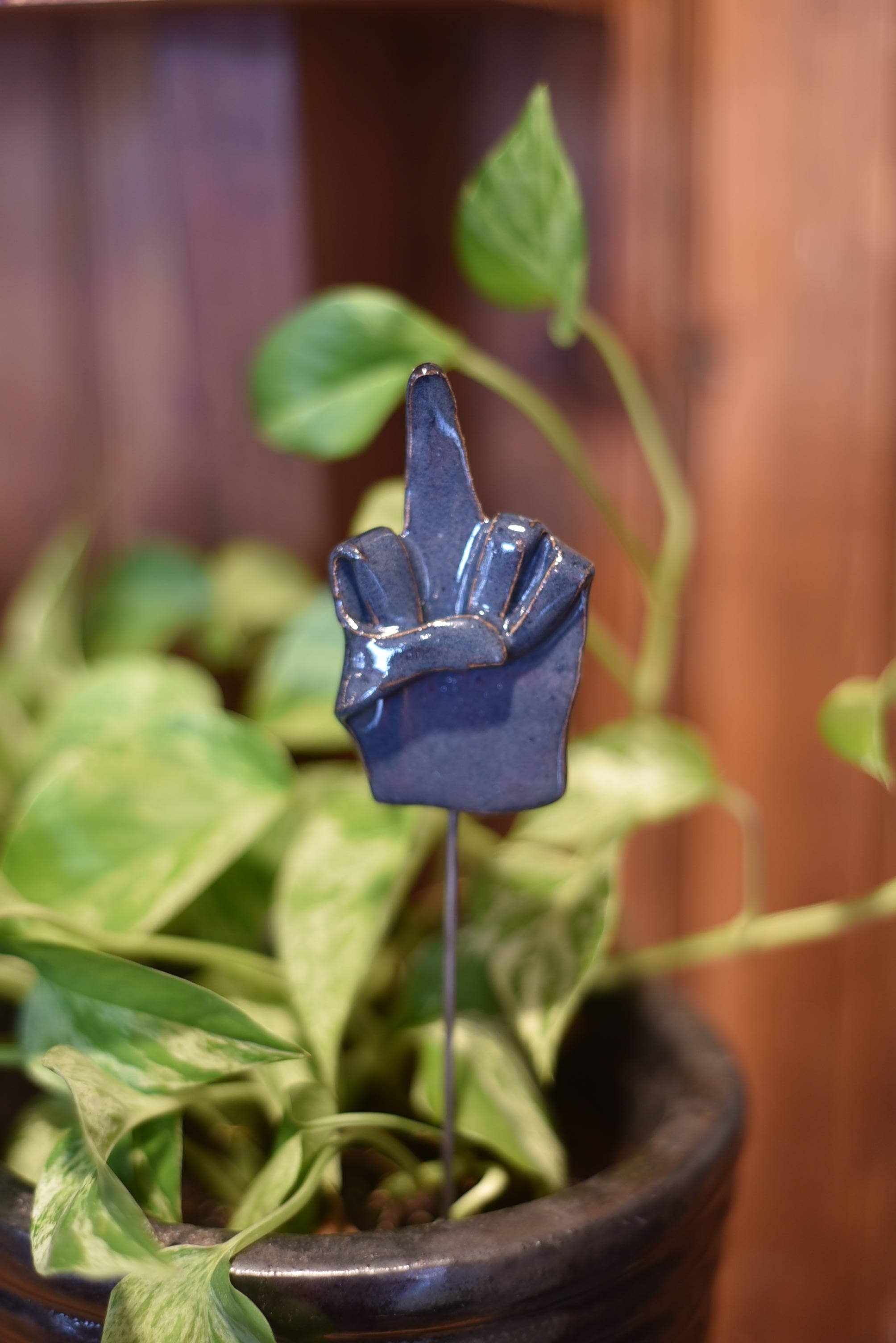 Plant Buddy Middle Finger Hands at Adventures in Bloom Apex NC ...